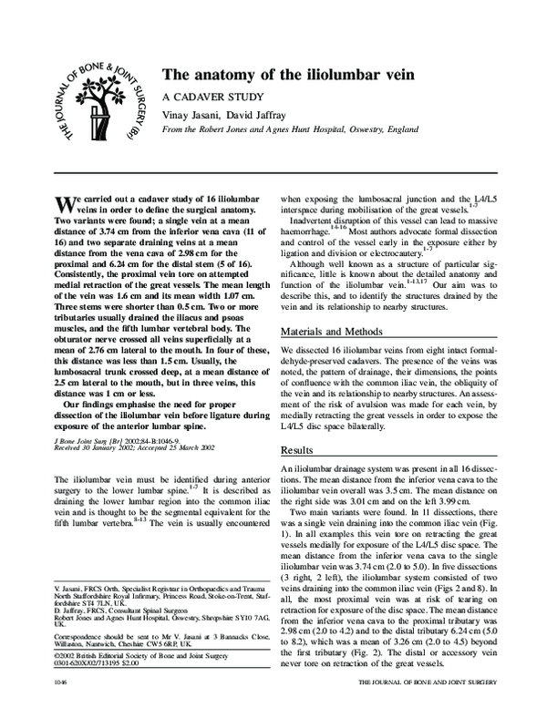 (PDF) The anatomy of the iliolumbar vein: A cadaver study