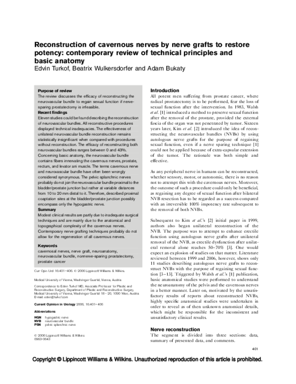 (PDF) Reconstruction of cavernous nerves by nerve grafts to restore ...