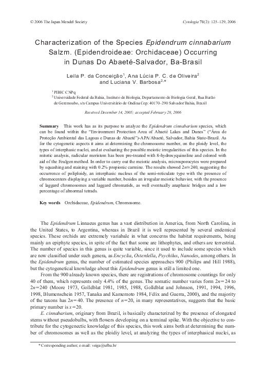 (PDF) Characterization of the Species Epidendrum cinnabarium Salzm ...