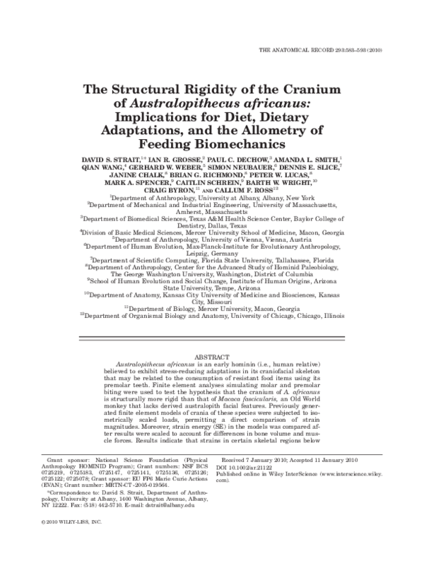(PDF) The Structural Rigidity of the Cranium of Australopithecus ...