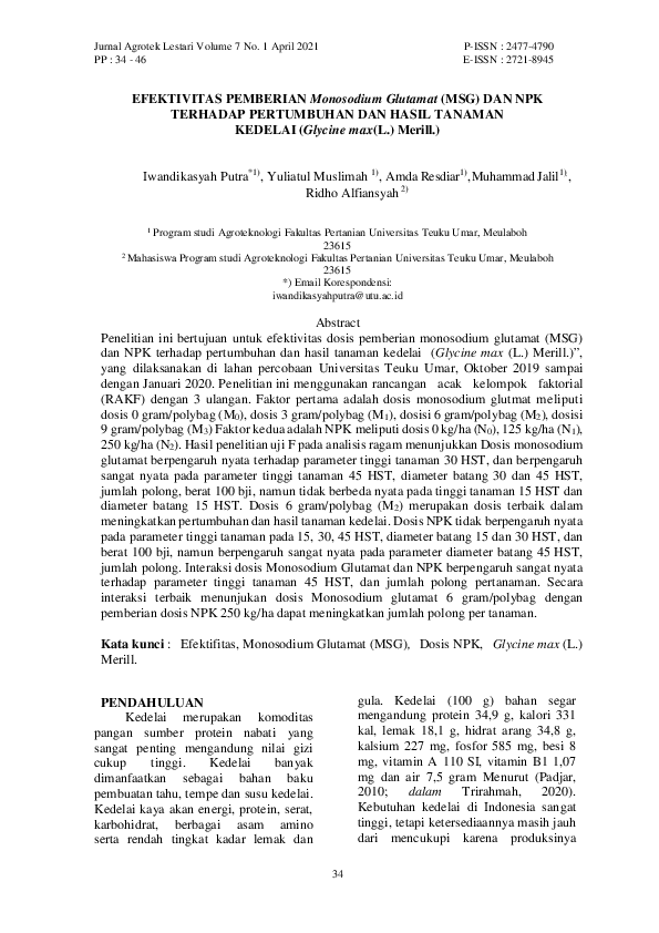 (PDF) EFEKTIVITAS PEMBERIAN Monosodium Glutamat (MSG) DAN NPK TERHADAP PERTUMBUHAN DAN HASIL ...