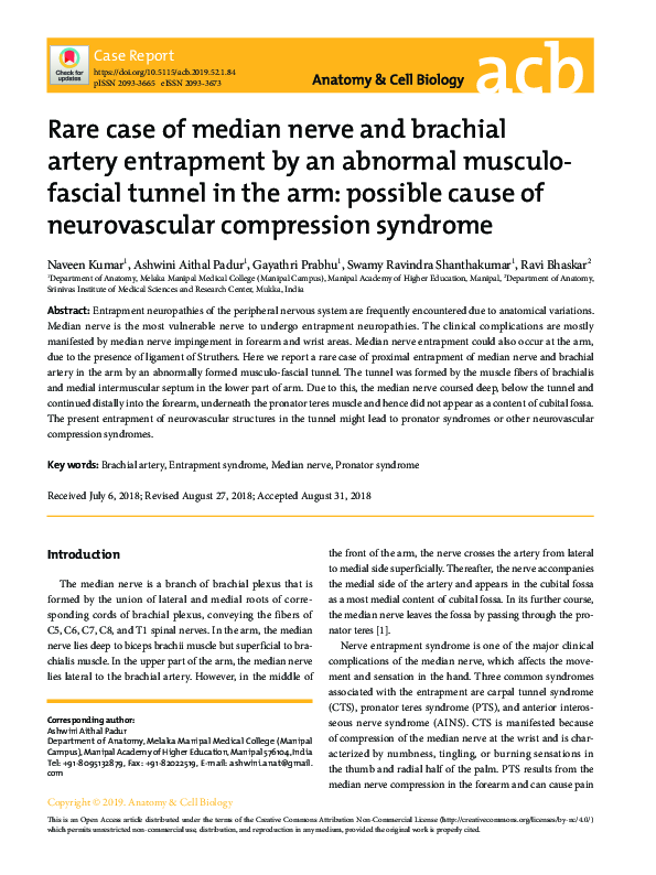(PDF) Rare case of median nerve and brachial artery entrapment by an ...