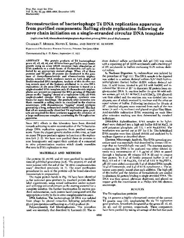 (PDF) Reconstruction of T4 Phage DNA Replication