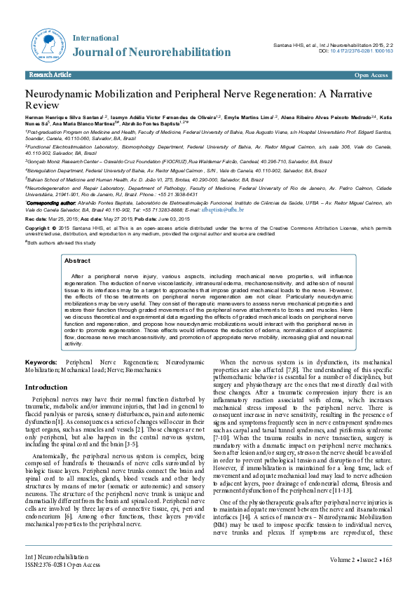 (PDF) Neurodynamic Mobilization and Its Impact on Nerve Regeneration