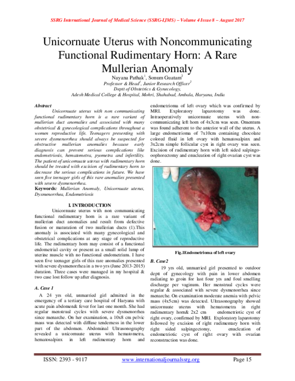 (PDF) Unicornuate Uterus with Noncommunicating Functional Rudimentary ...