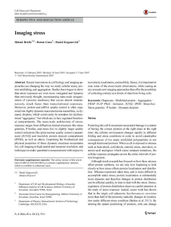 (PDF) Imaging stress