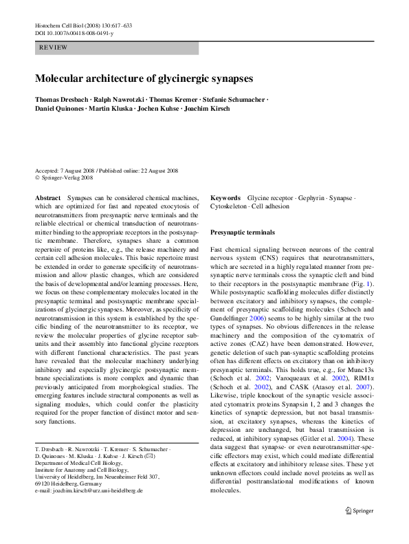 (PDF) Molecular architecture of glycinergic synapses