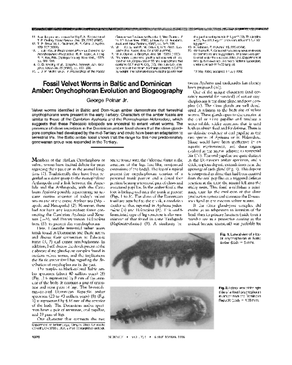 (PDF) Fossil Velvet Worms in Baltic and Dominican Amber: Onychophoran ...