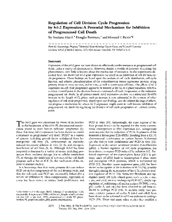 (PDF) Regulation of cell division cycle progression by bcl-2 expression ...