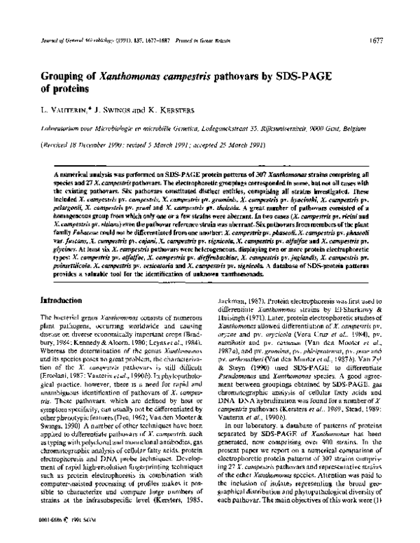 (PDF) Grouping of Xanthomonas campestris pathovars by SDS-PAGE of proteins