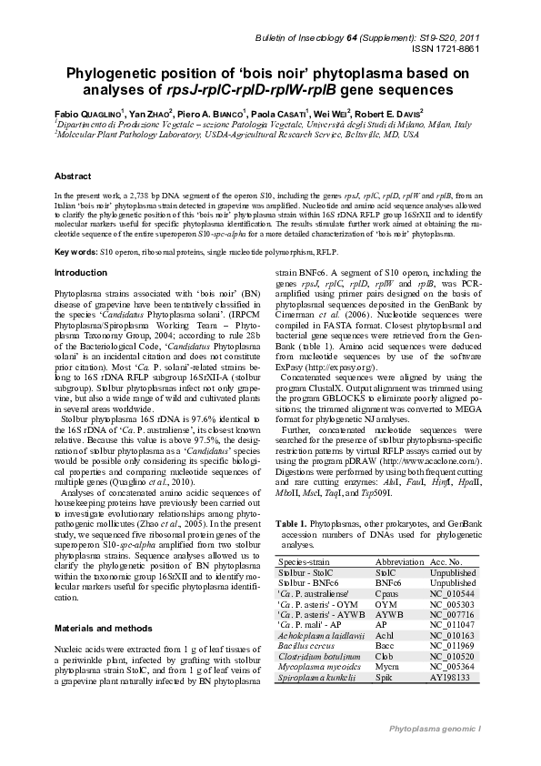 (PDF) Phylogenetic position of ‘bois noir’ phytoplasma based on ...