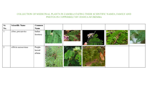 (PDF) COLLECTION OF MEDICINAL PLANTS IN ZAMBIA STATING THEIR SCIENTIFIC ...