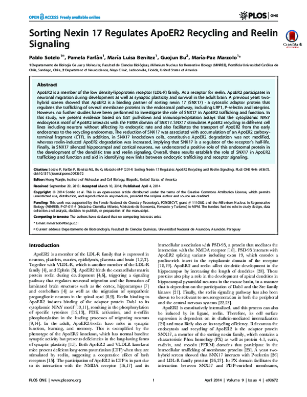 (PDF) Sorting Nexin 17 Regulates ApoER2 Recycling and Reelin Signaling