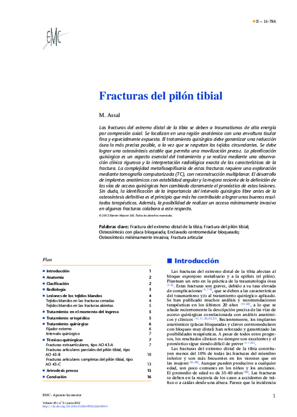 (PDF) Fracturas del pilón tibial