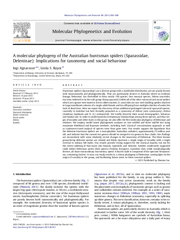 (PDF) A molecular phylogeny of the Australian huntsman spiders ...