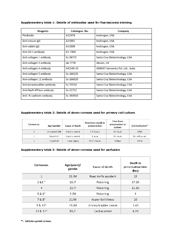 (PDF) Use of Decellularized SMILE (Small-Incision Lenticule Extraction ...