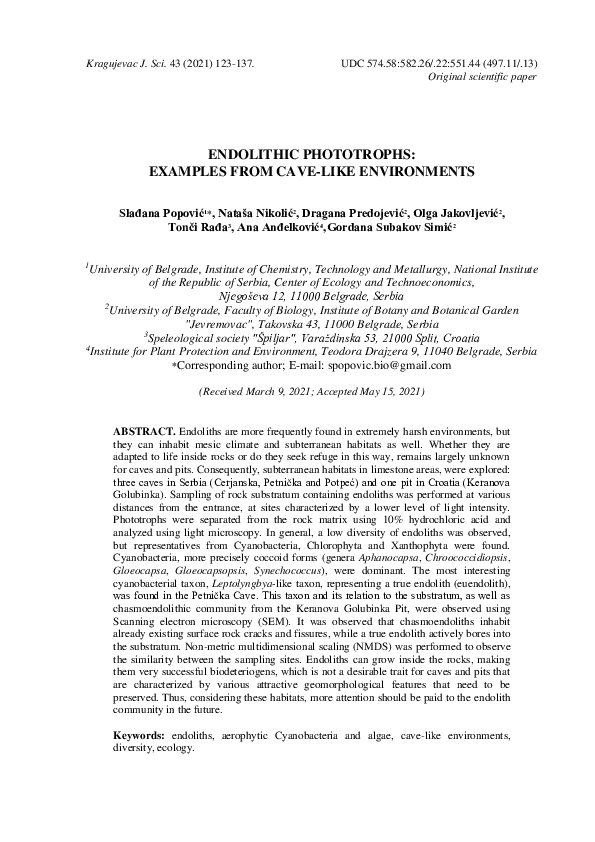(PDF) Endolithic phototrophs: Examples from cave-like environments