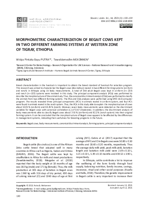 (PDF) MORPHOMETRIC CHARACTERIZATION OF BEGAIT COWS KEPT IN TWO ...