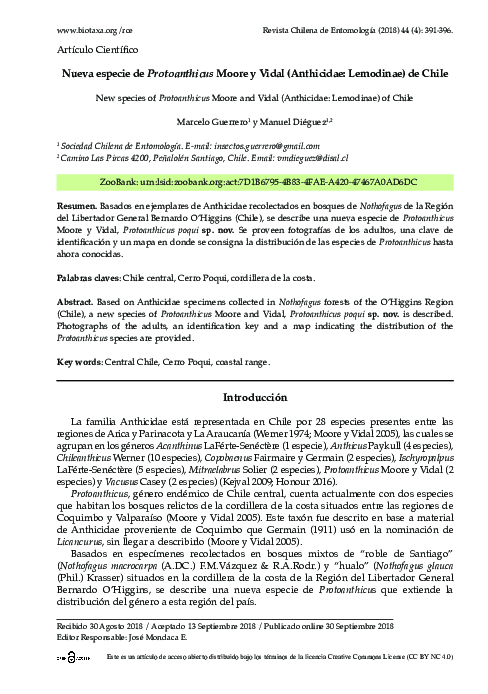 (PDF) Nueva especie de Protoanthicus Moore y Vidal (Anthicidae ...