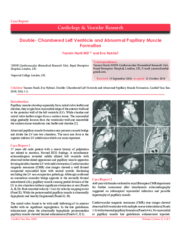 (PDF) Double-Chambered Left Ventricle Case Studies