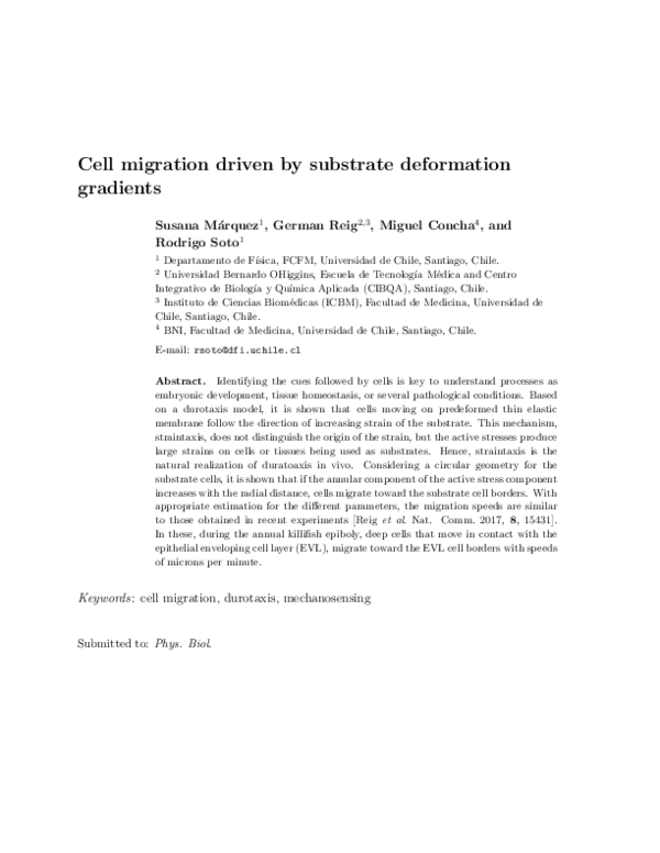 (PDF) Cell migration driven by substrate deformation gradients
