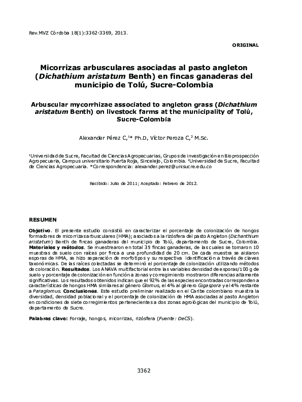 (PDF) Micorrizas arbusculares asociadas al pasto angleton (Dichathium ...