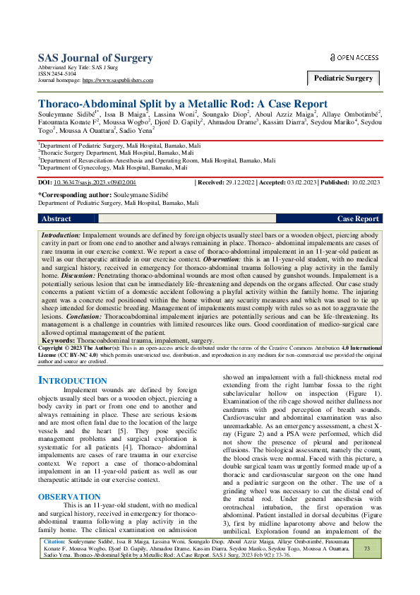 (PDF) Thoraco-Abdominal Split by a Metallic Rod: A Case Report
