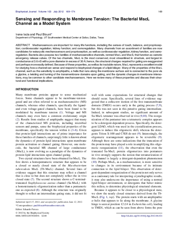 (PDF) Sensing and Responding to Membrane Tension: The Bacterial MscL Channel as a Model System