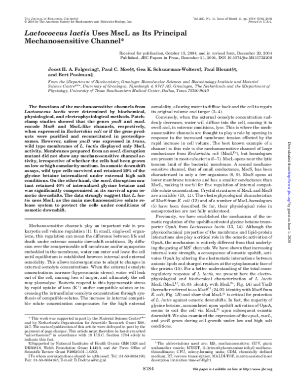 (PDF) Lactococcus lactis Uses MscL as Its Principal Mechanosensitive ...