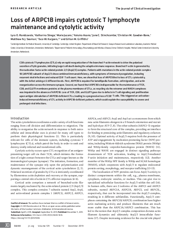 (PDF) Loss of ARPC1B impairs cytotoxic T lymphocyte maintenance and ...