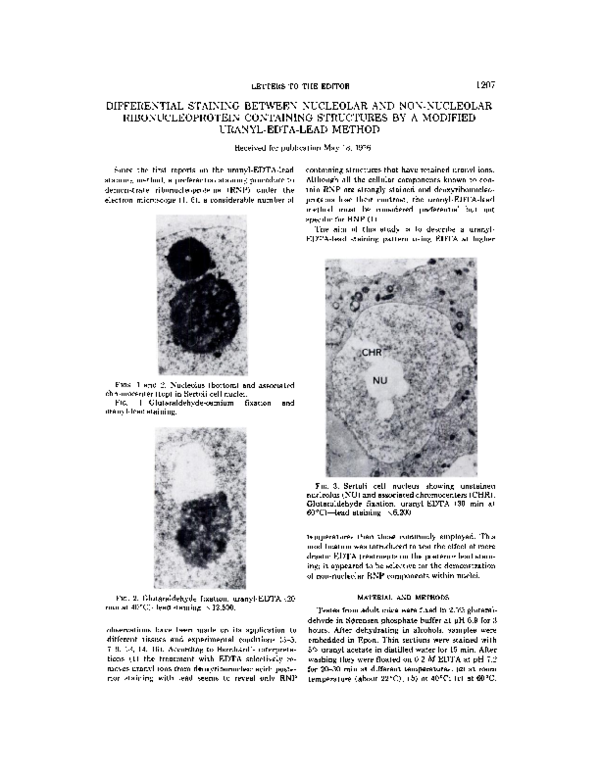(PDF) Differential staining between nucleolar and non-nucleolar ...