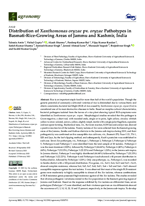 (PDF) Distribution of Xanthomonas oryzae pv. oryzae Pathotypes in ...