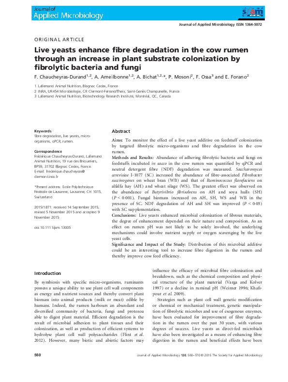(PDF) Live yeasts enhance fibre degradation in the cow rumen through an ...