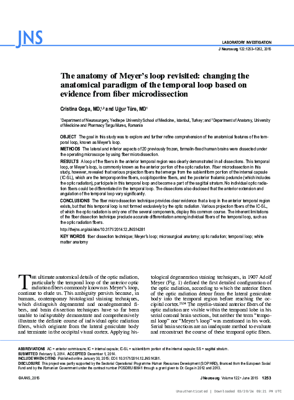 (PDF) The anatomy of Meyer's loop revisited: changing the anatomical ...