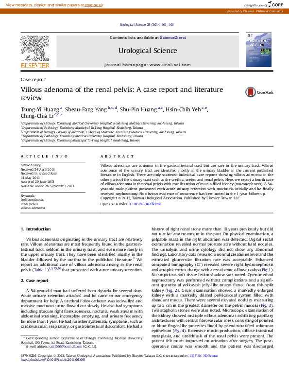 (PDF) Villous adenoma of the renal pelvis: A case report and literature review | Sheau-Fang Yang ...