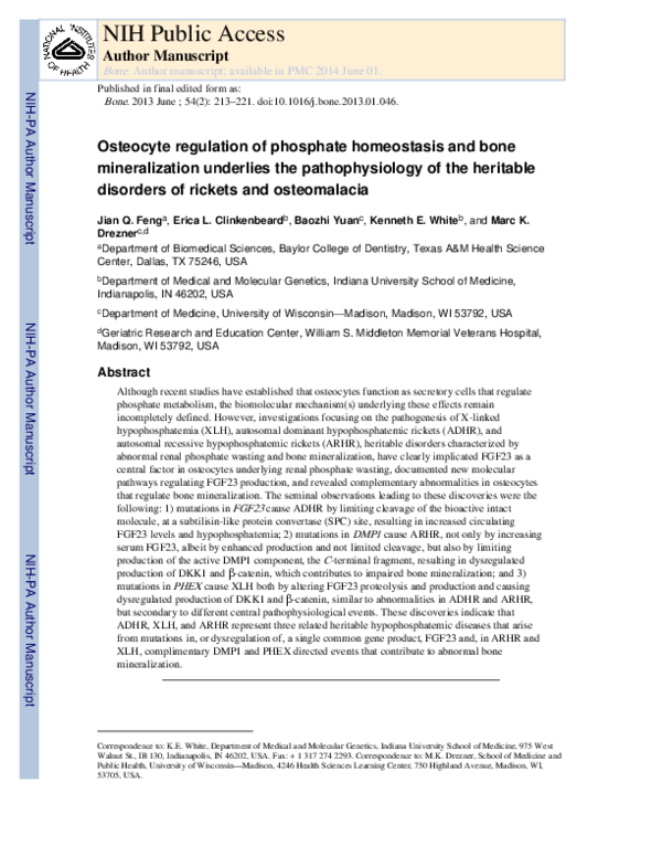(PDF) Osteocyte regulation of phosphate homeostasis and bone ...
