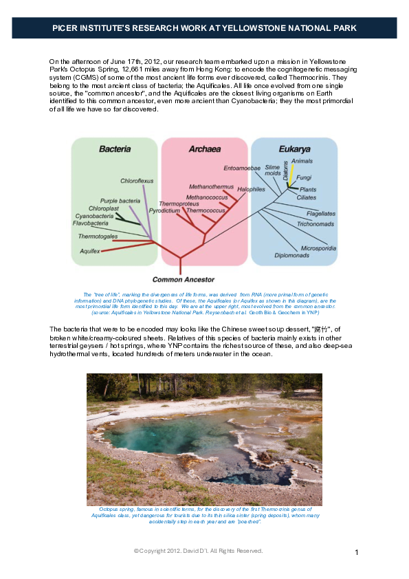 (PDF) PICER INSTITUTE'S RESEARCH WORK AT YELLOWSTONE NATIONAL PARK
