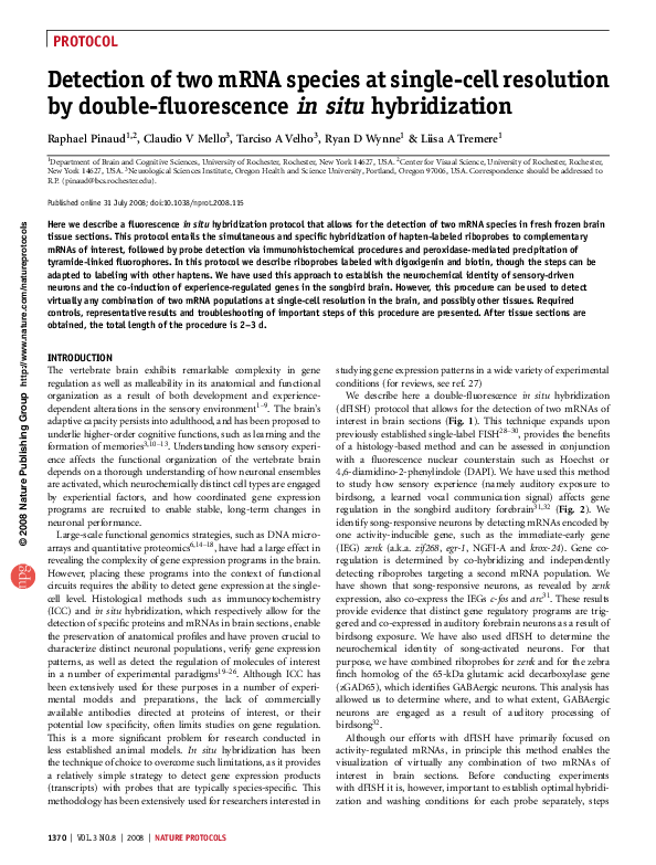 (PDF) Detection of two mRNA species at single-cell resolution by double-fluorescence in situ ...