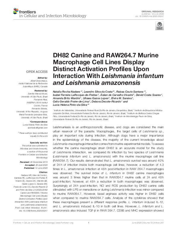 (PDF) DH82 Canine and RAW264.7 Murine Macrophage Cell Lines Display ...