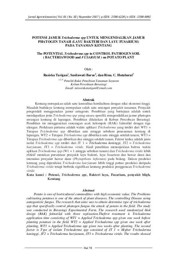 (PDF) Potensi Jamur Trichoderma spp Untuk Mengendalikan Jamur Phatogen ...