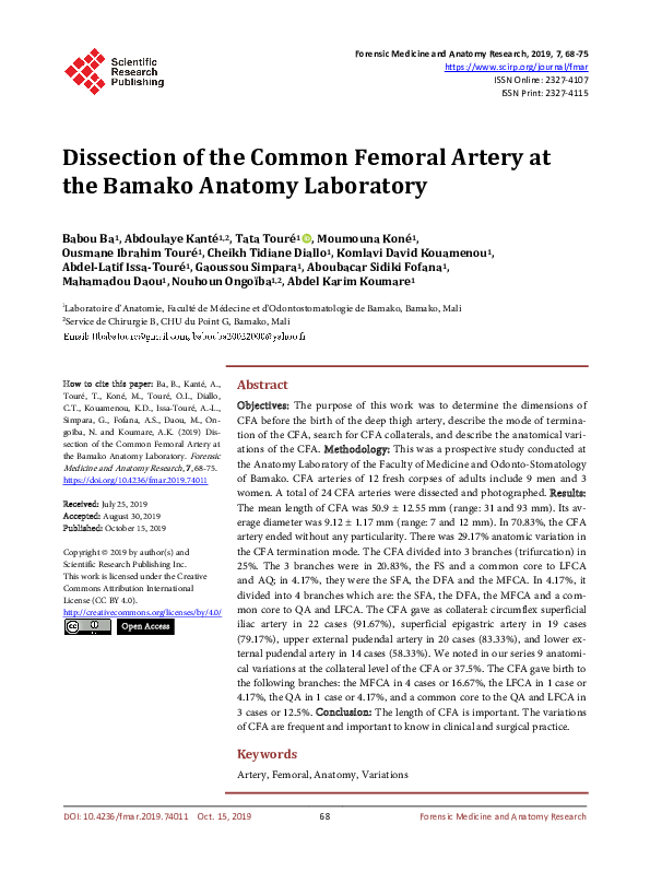 (PDF) Dissection of the Common Femoral Artery at the Bamako Anatomy ...