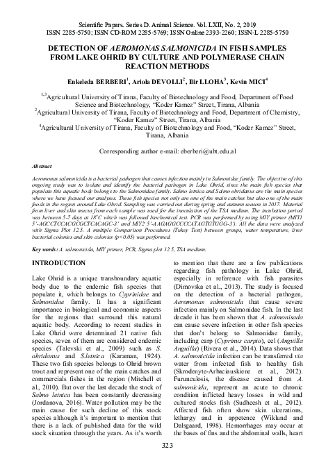 (PDF) DETECTION OF AEROMONAS SALMONICIDA IN FISH SAMPLES FROM LAKE ...