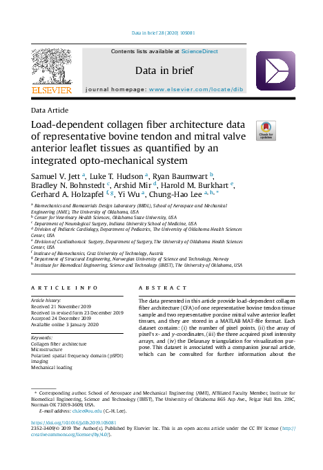 (PDF) Load-dependent collagen fiber architecture data of representative bovine tendon and mitral ...