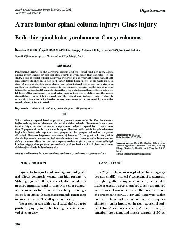 (PDF) A rare lumbar spinal column injury: glass injury