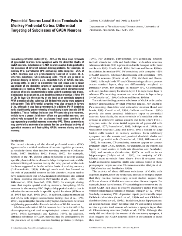 (PDF) Pyramidal Neuron Local Axon Terminals in Monkey Prefrontal Cortex: Differential Targeting ...