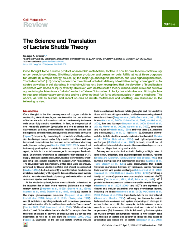 (PDF) The Science and Translation of Lactate Shuttle Theory