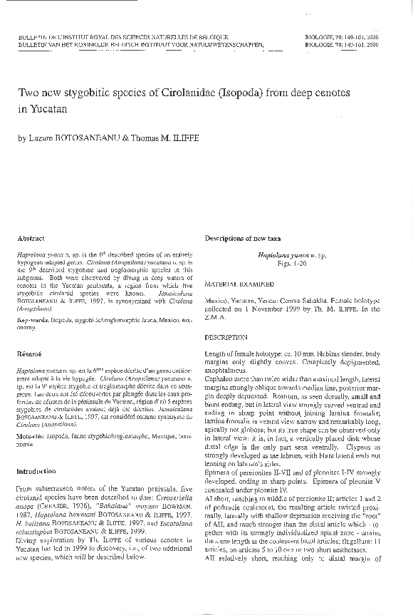 (PDF) Two new stygobitic species of Cirolanidae (Isopoda) from deep ...