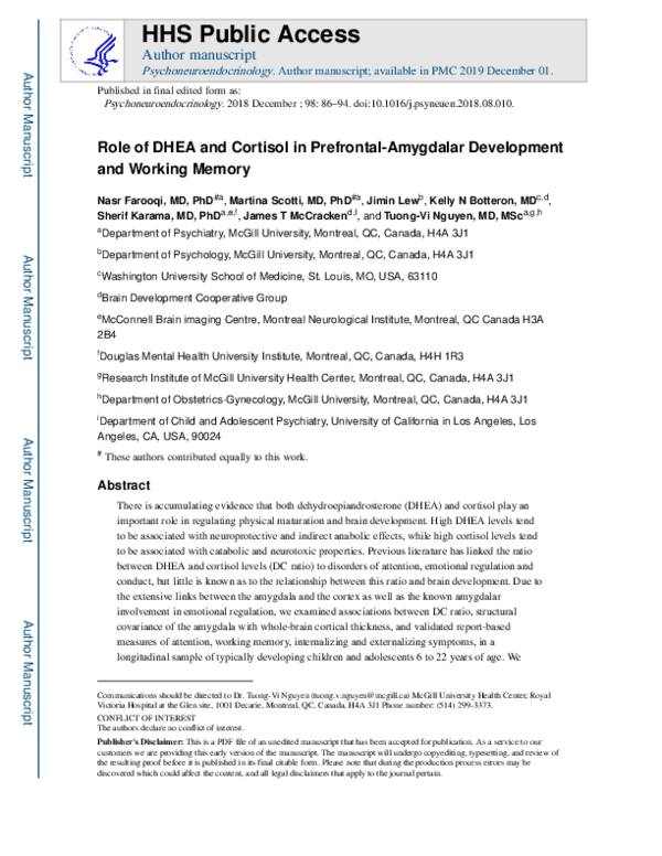 (PDF) DHEA-Cortisol Ratio Impact on Brain Development and Memory