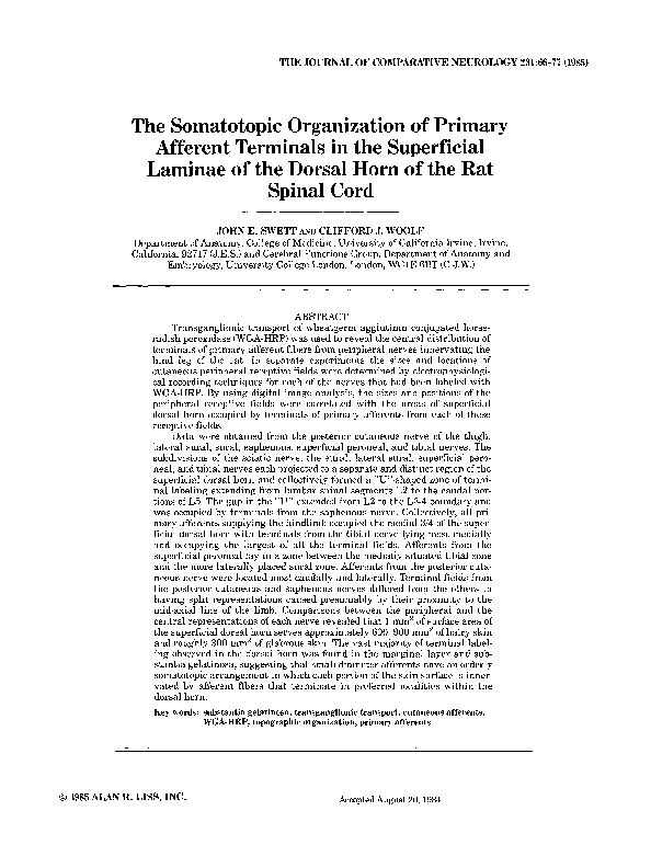 (PDF) Somatotopic Organization of Primary Afferent Perikarya of the ...