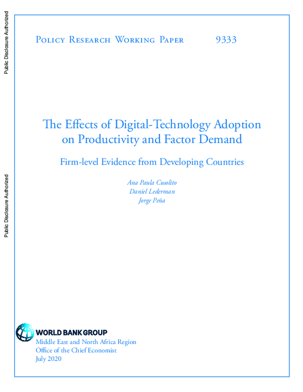 (PDF) The Effects of Digital-Technology Adoption on Productivity and ...